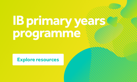 International Baccalaureate resources | Tes