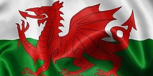 More time urged for second-language Welsh GCSE | Tes Magazine More time urged for second-language Welsh GCSE | Tes Magazine