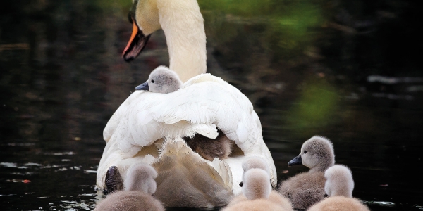 How to foster self-regulated learning skills | Tes Magazine